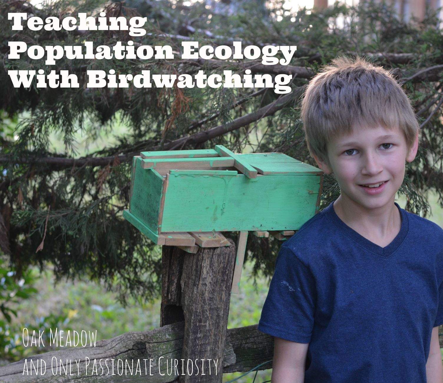 Population Ecology for Kids {Birdwatching Activity} - Only Passionate ...