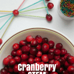 Cranberry Raft Engineering Challenge - Only Passionate Curiosity