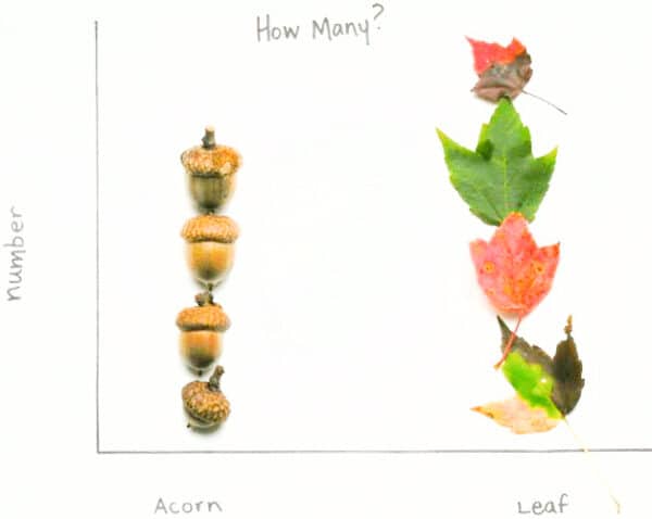 Autumn Nature Math Lessons - Only Passionate Curiosity