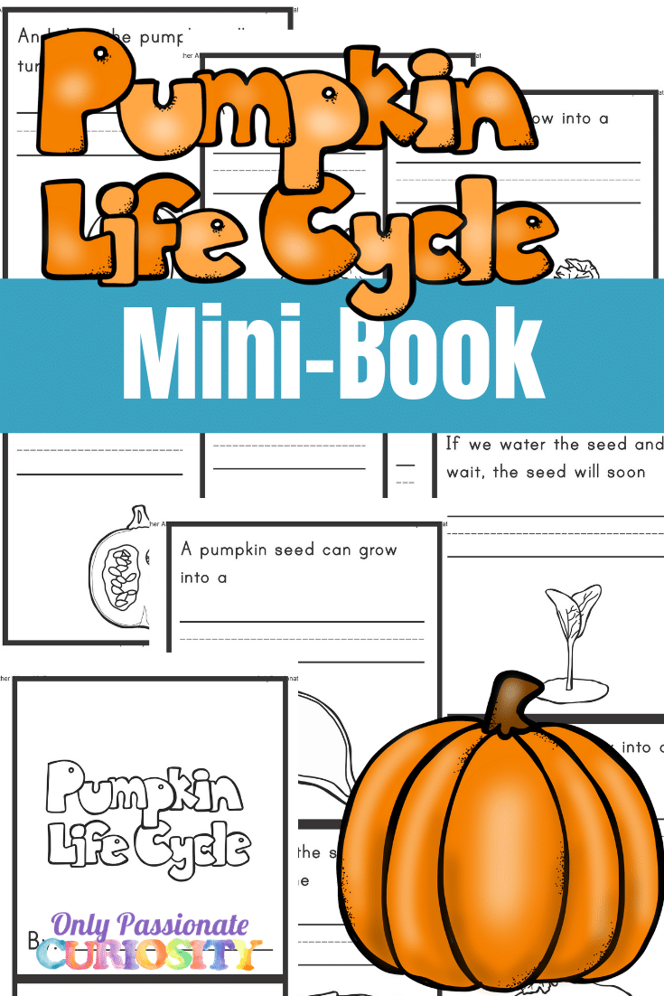 Pumpkin Life Cycle Mini-Book - Only Passionate Curiosity