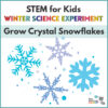 STEM for Kids: Grow Crystal Snowflakes