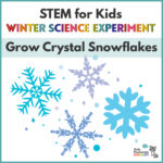 STEM for Kids: Grow Crystal Snowflakes