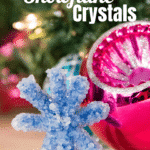 STEM for Kids: Grow Crystal Snowflakes - Only Passionate Curiosity