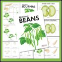 All About Beans-Life Cycle Unit Study - Only Passionate Curiosity