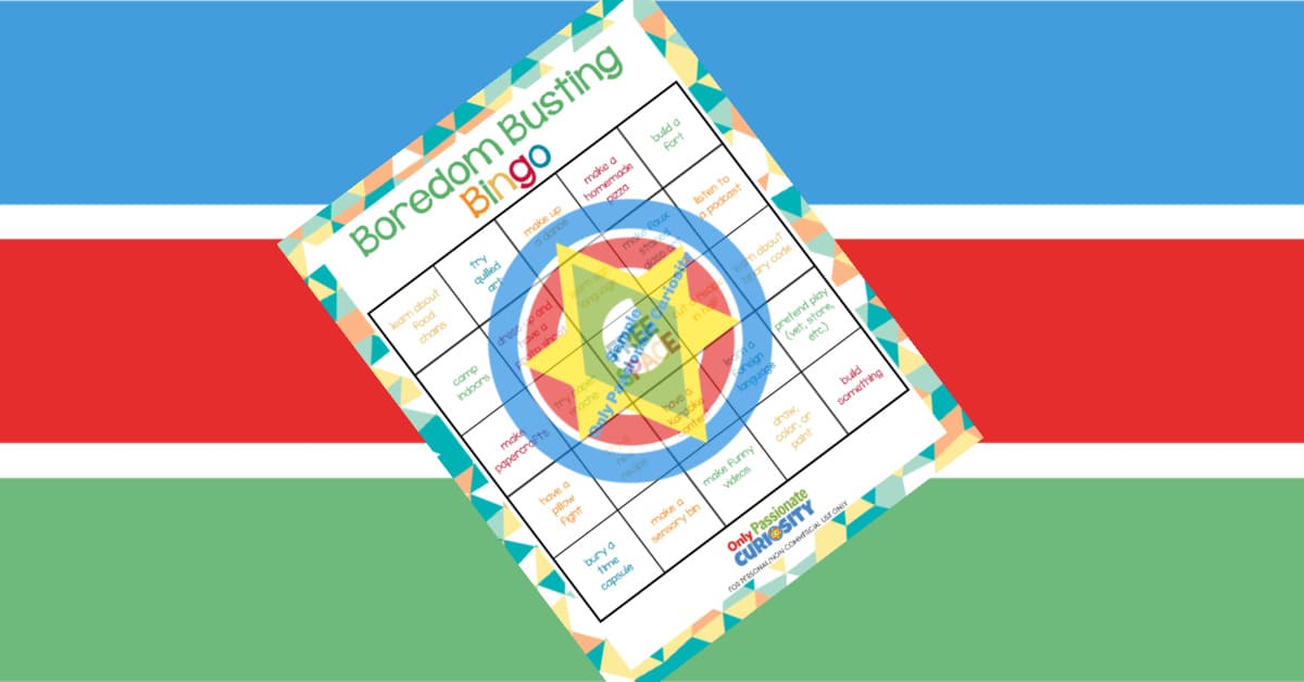 Boredom Busting Bingo - Only Passionate Curiosity