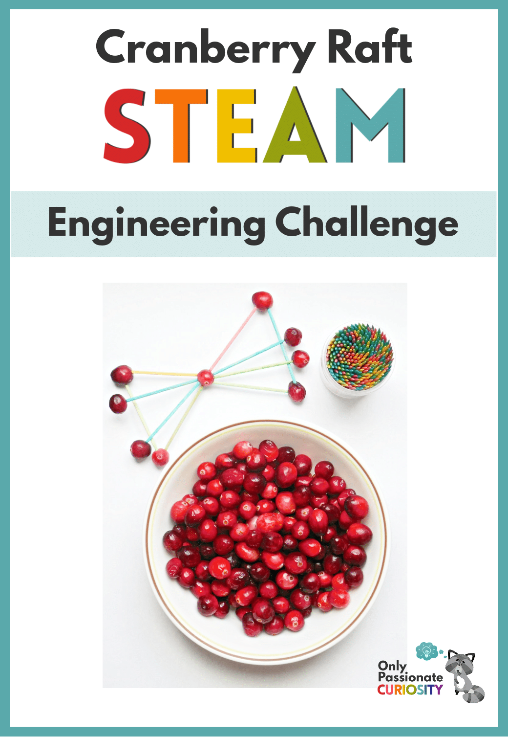 Cranberry Raft STEAM Engineering Challenge - Only Passionate Curiosity