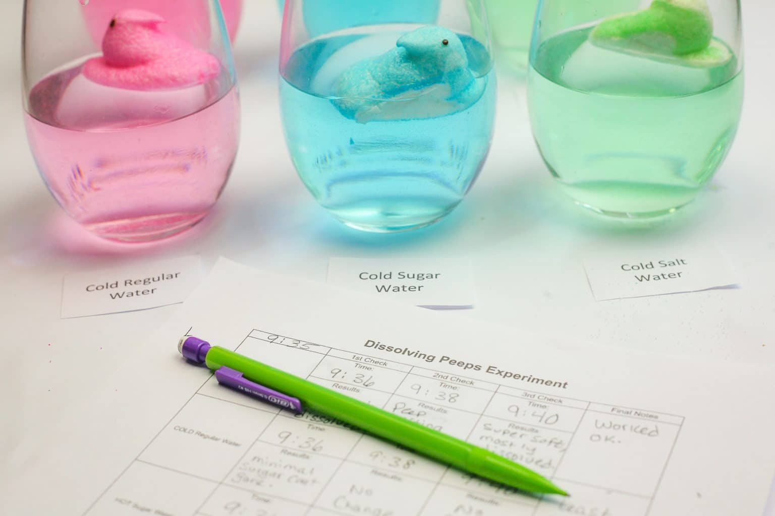 Colorful Dissolving Peeps Science Experiment
