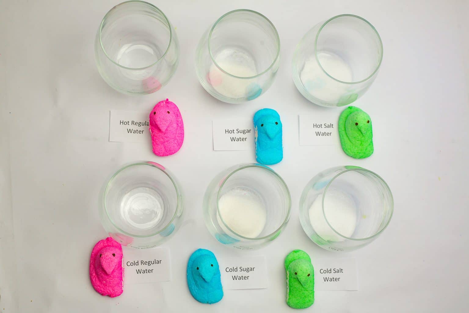 Colorful Dissolving Peeps Science Experiment