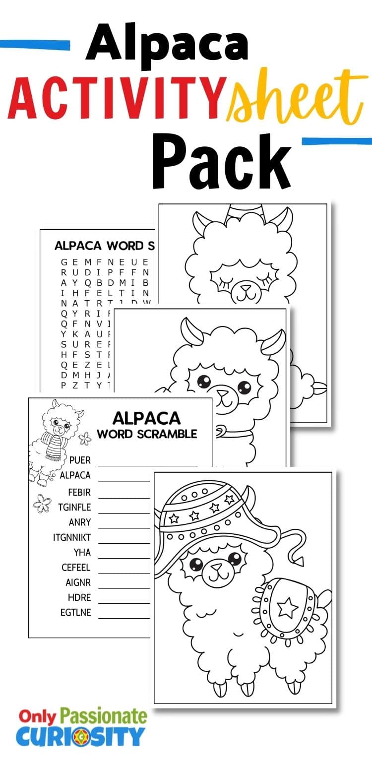Alpaca Activity Sheets Pack - Only Passionate Curiosity