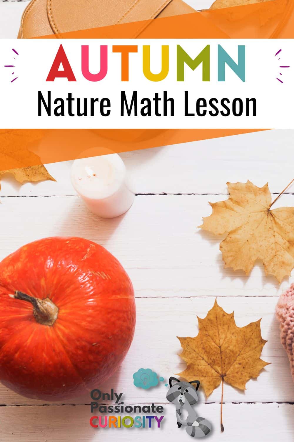 Autumn Nature Math Lessons - Only Passionate Curiosity
