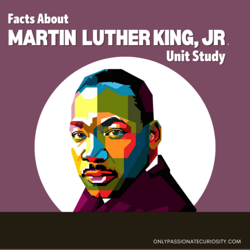 80+ Facts about Dr. Martin Luther King Jr. Unit Study - Only Passionate ...