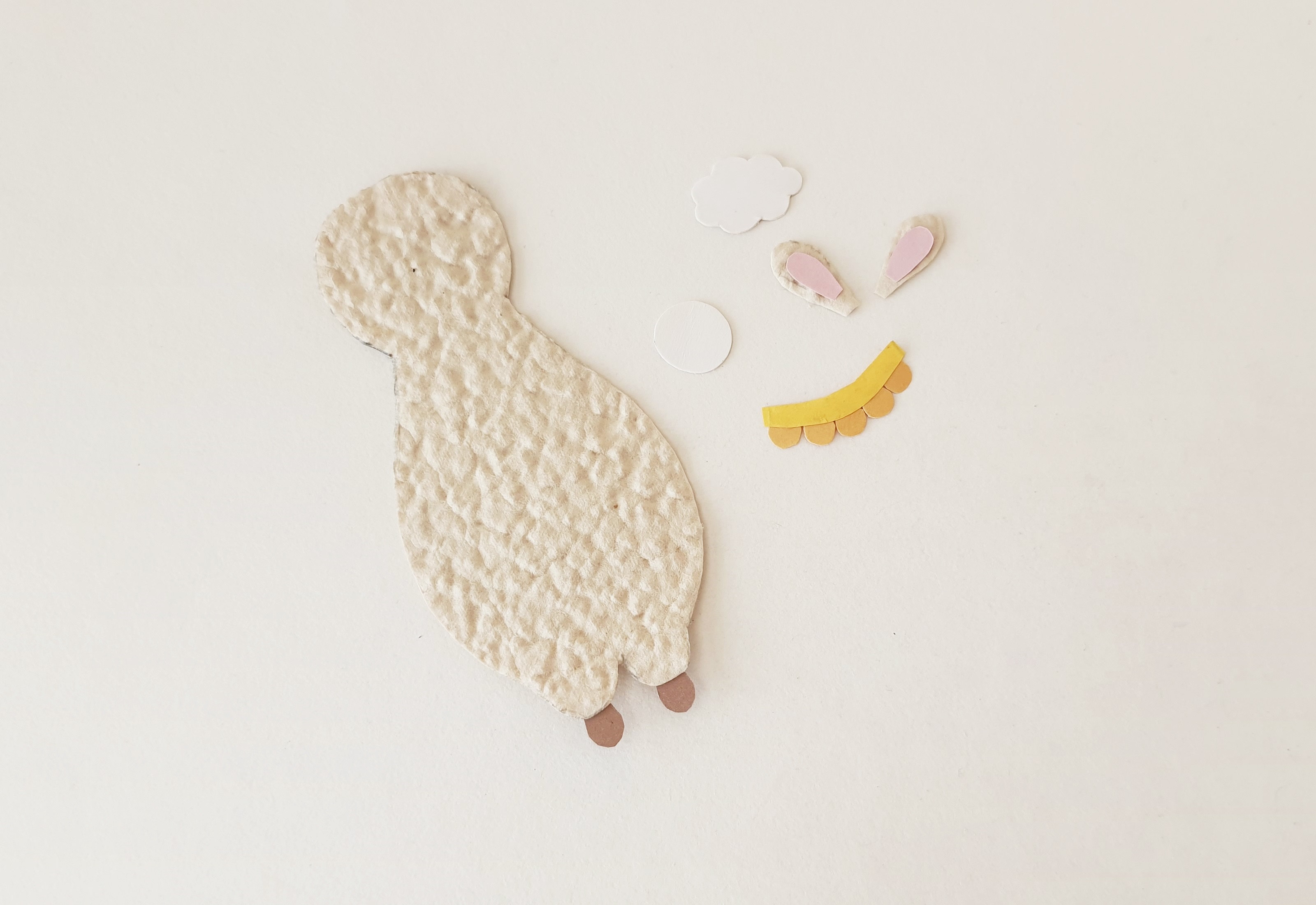 12 Fun Facts About Llamas & a Llama Craft - Only Passionate Curiosity
