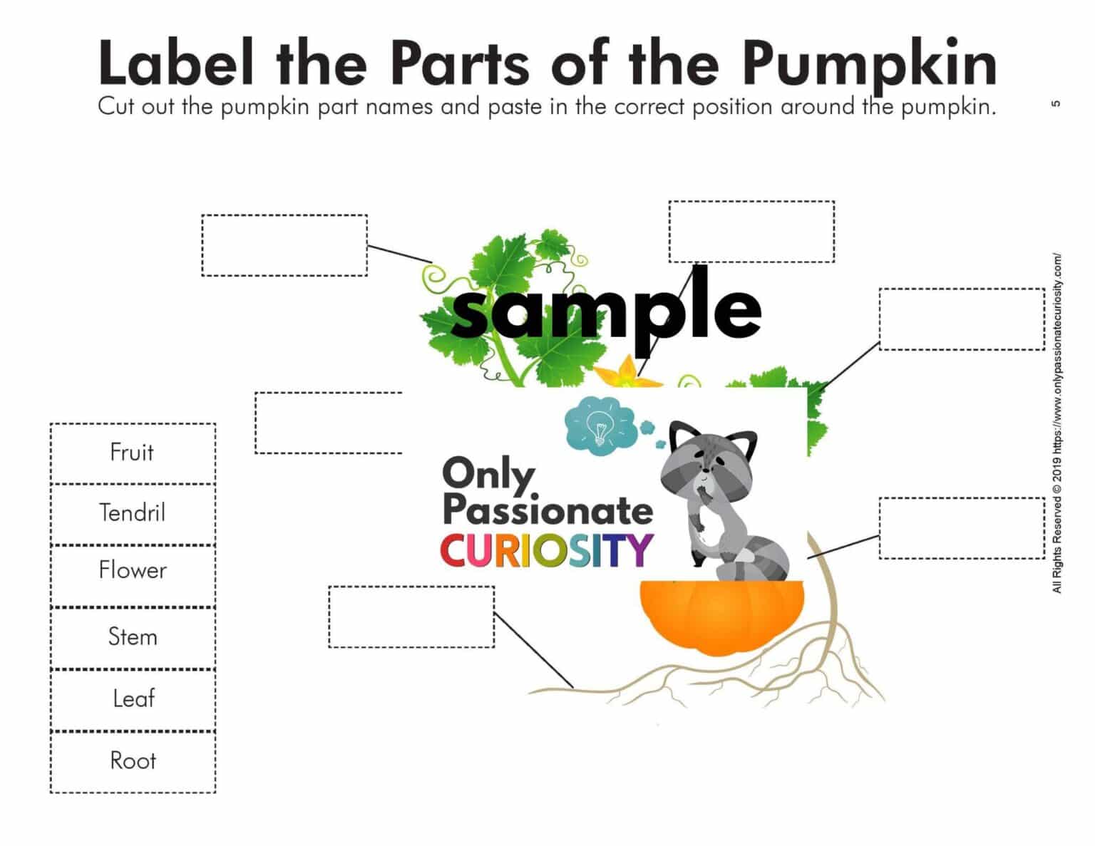 All About Pumpkins: Life Cycle Unit Study - Only Passionate Curiosity