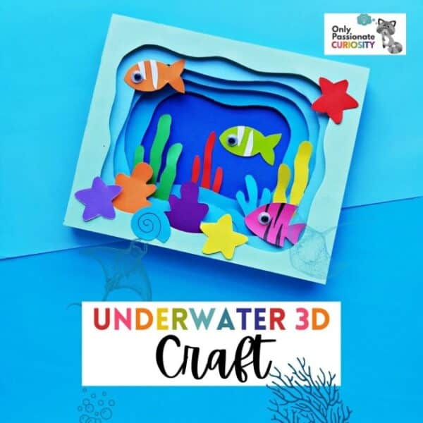underwater 3D craft