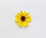 Black-Eyed Susan Craft