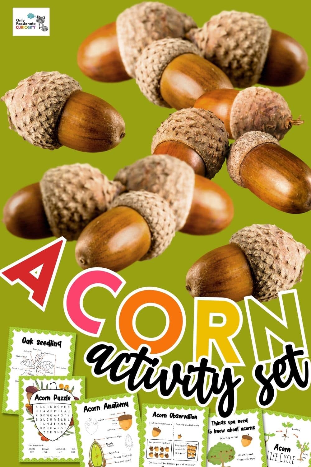 Acorn Activity Set - Only Passionate Curiosity