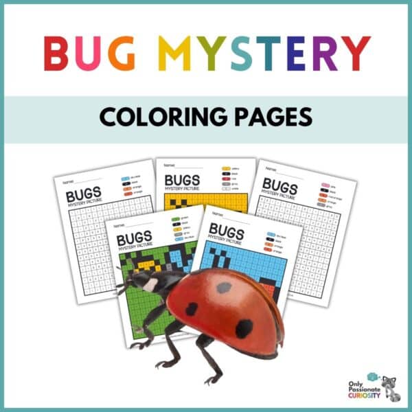 Place Value Math Pages
