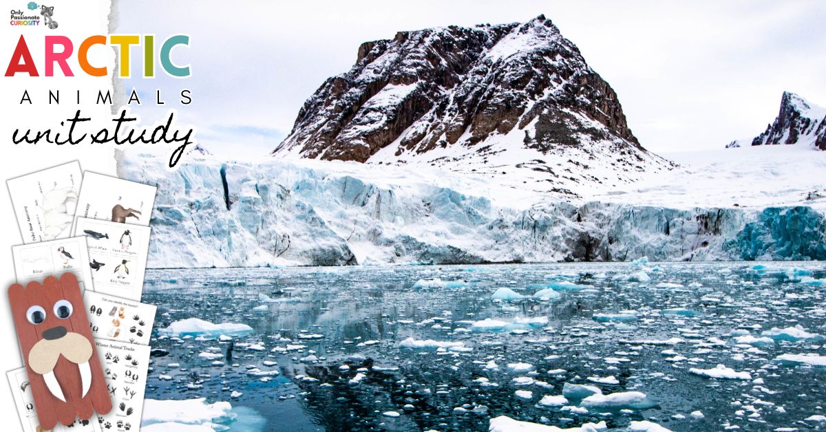 Arctic Animals Homeschool Mini Unit Study - Only Passionate Curiosity