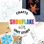 20+ Snowflake Crafts, Activities, and Unit Study Ideas