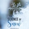 20+ Snowflake Crafts, Activities, and Unit Study Ideas