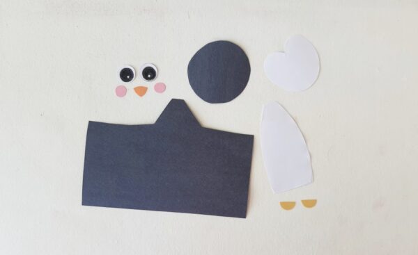 3 Penguin Crafts & Life Cycle Study