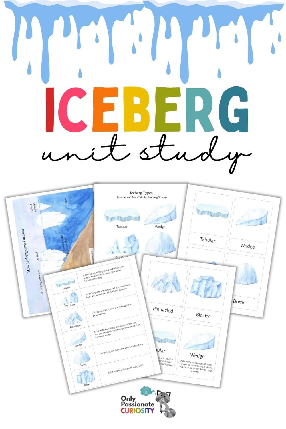Iceberg Unit Study
