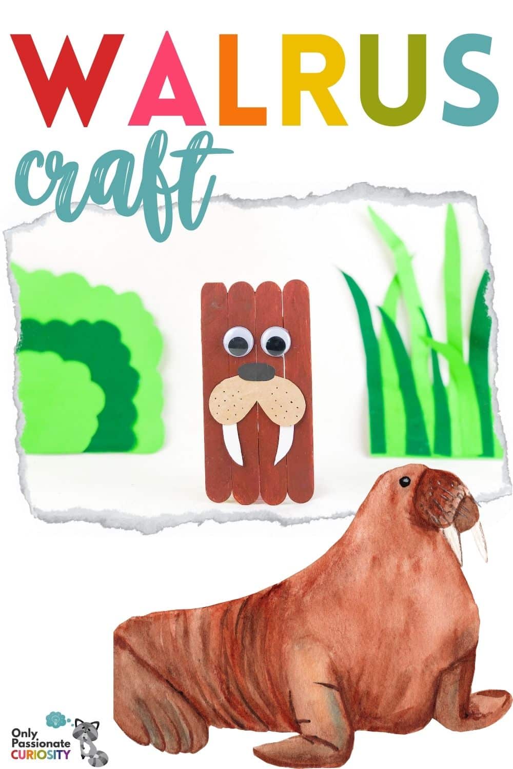 Popsicle Stick Walrus Craft - Only Passionate Curiosity