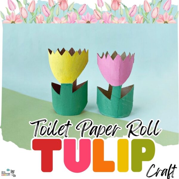 Toilet Paper Roll Tulip Craft