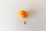 Clay Fruits for The Very Hungry Caterpillar