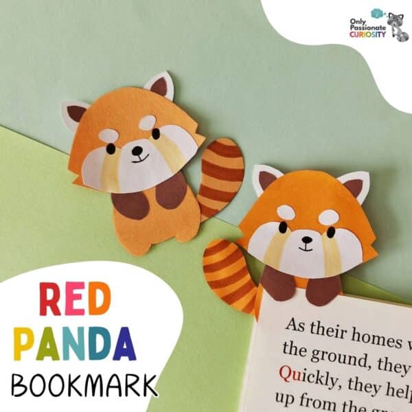 Red Panda Bookmark Craft