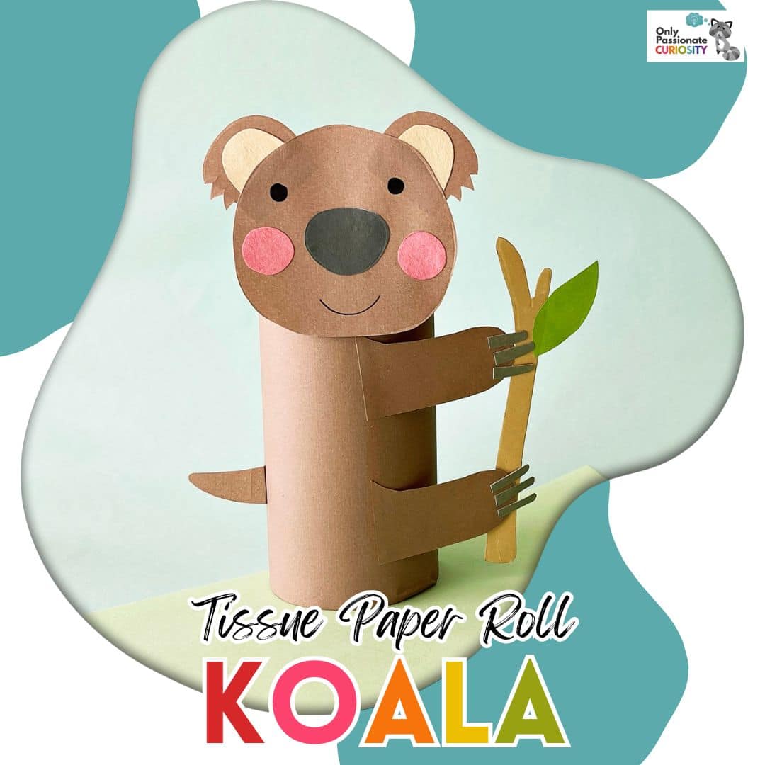 Tissue Paper Roll Koala Craft