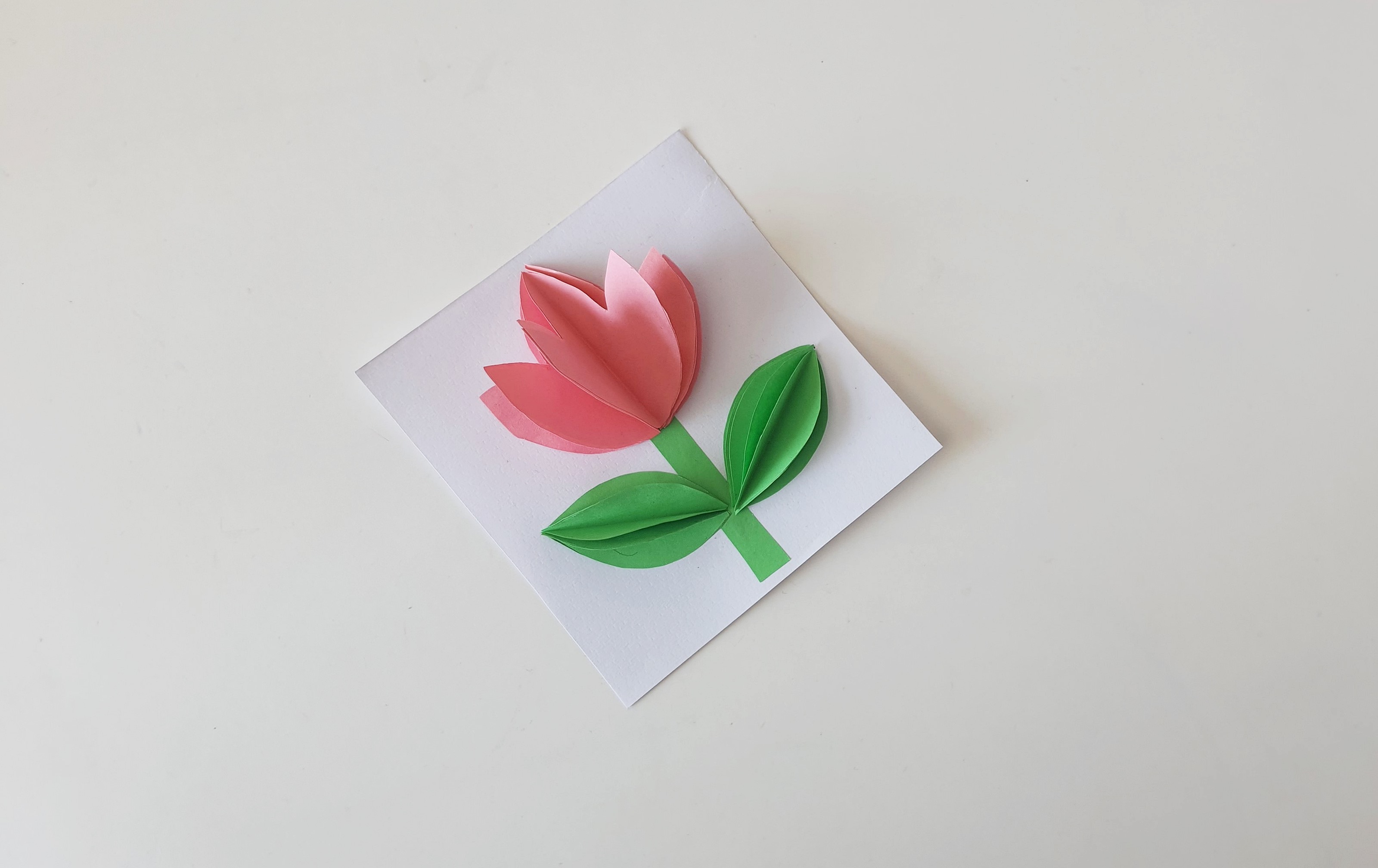 Tulip Card Paper Craft