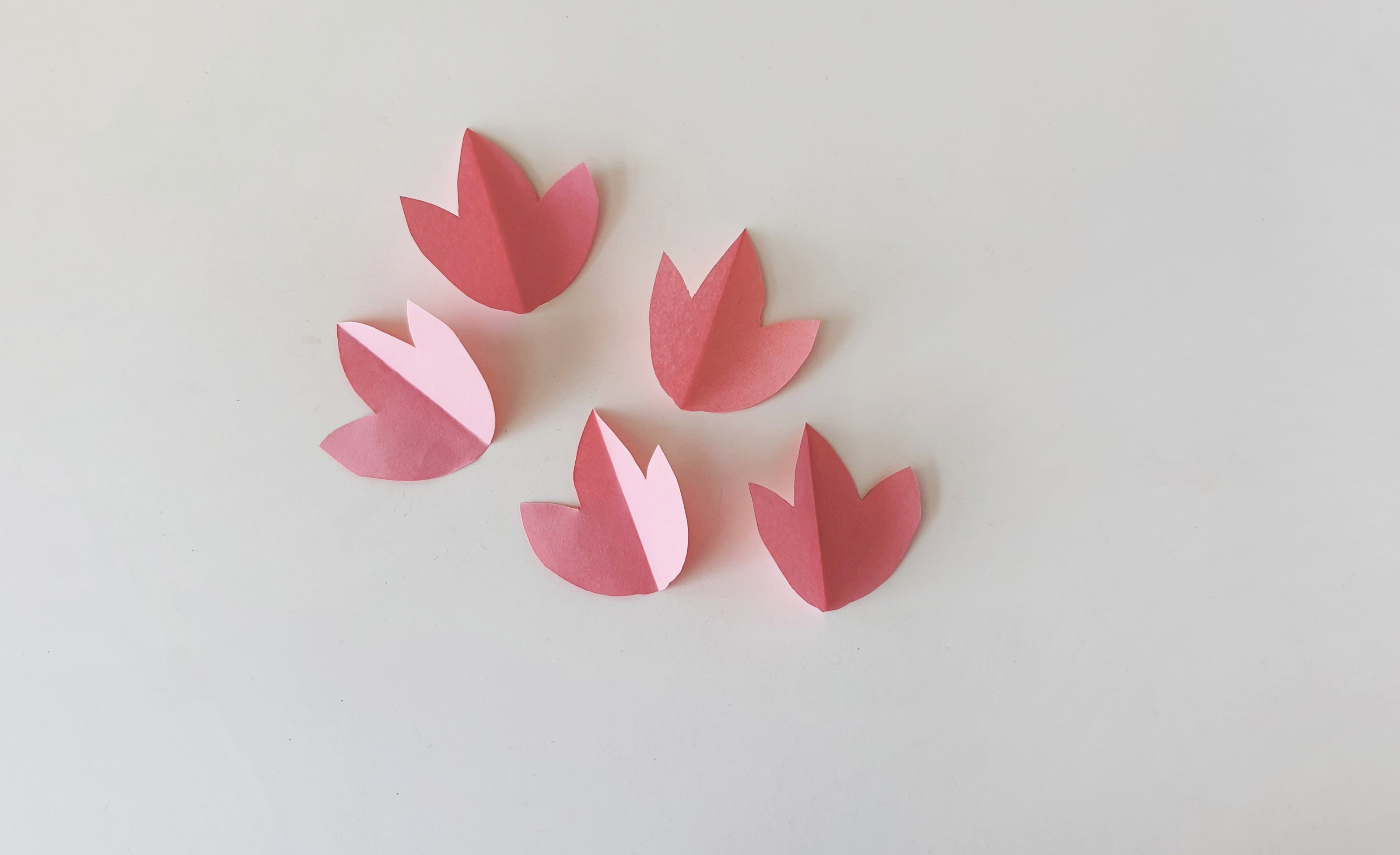 Tulip Card Paper Craft