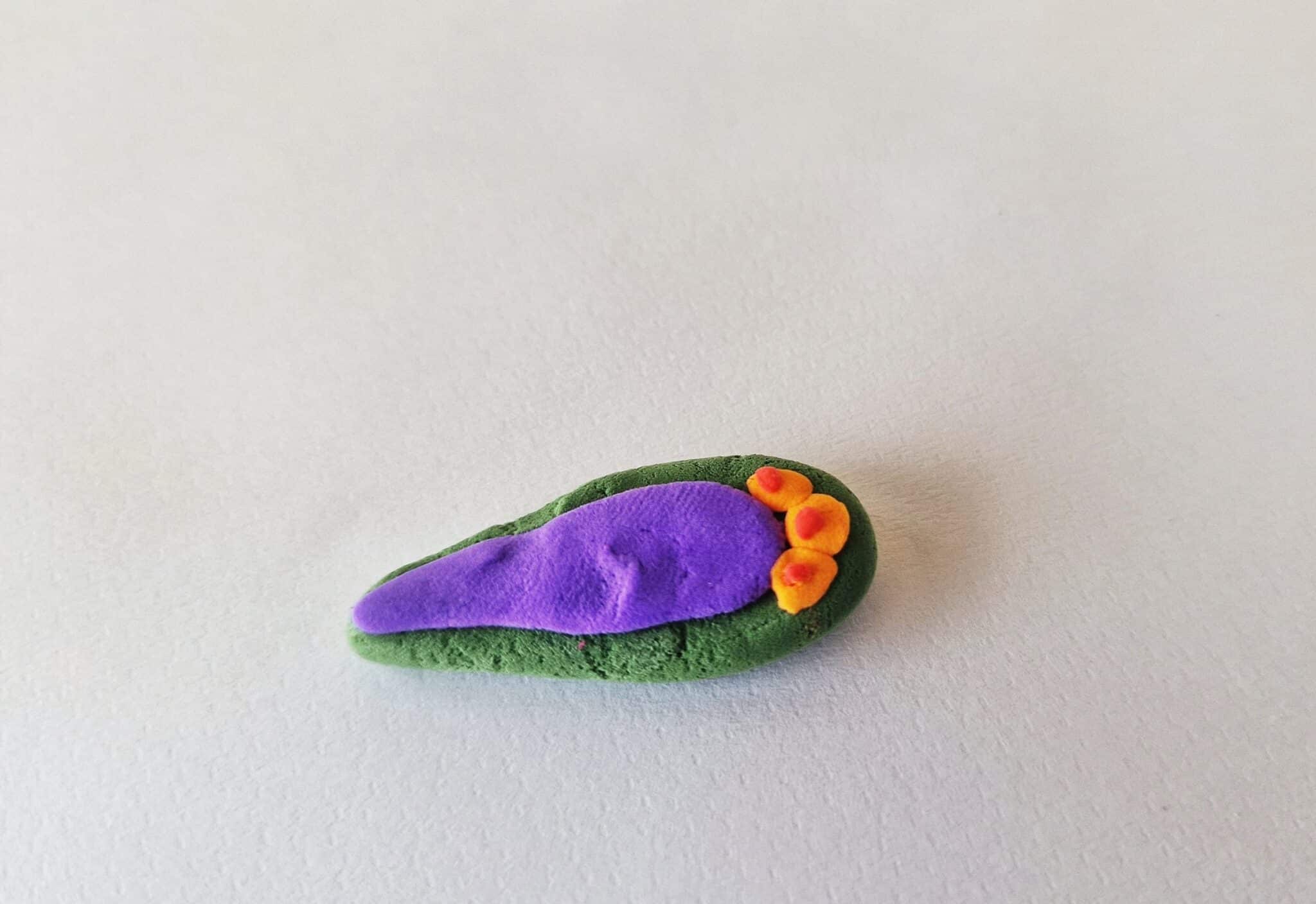 Clay Butterfly from The Very Hungry Caterpillar