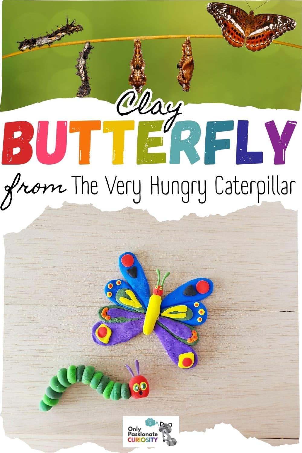 Clay Butterfly from The Very Hungry Caterpillar