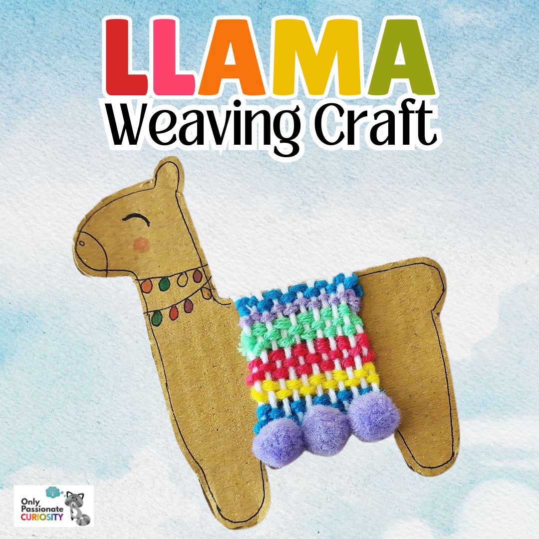 Llama Weaving Craft