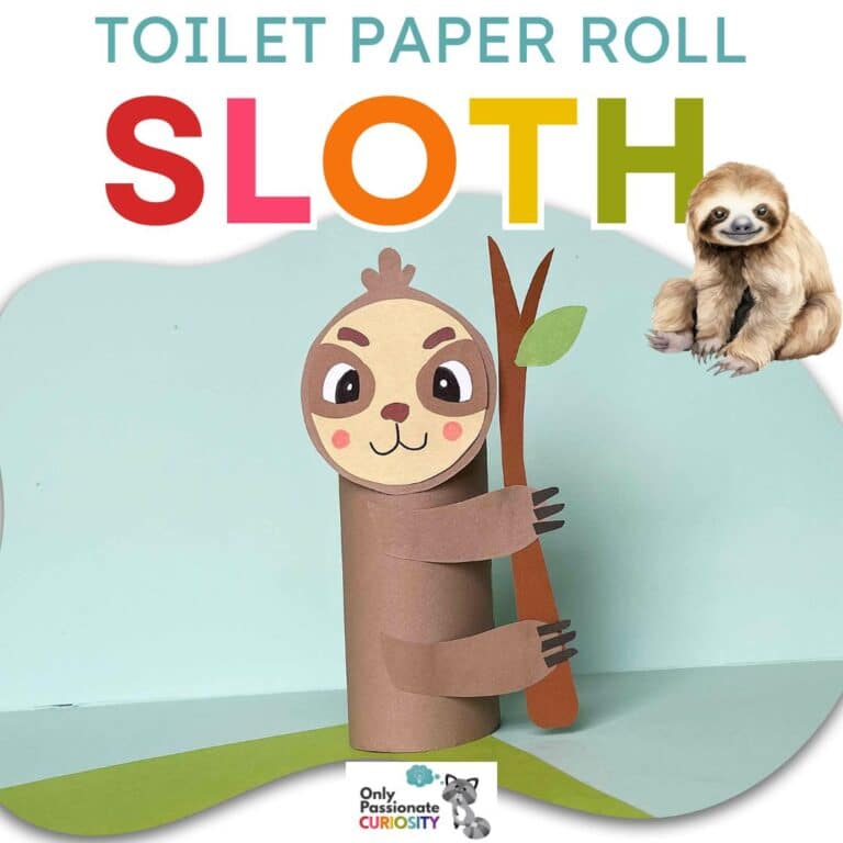 Toilet Paper Roll Sloth Craft