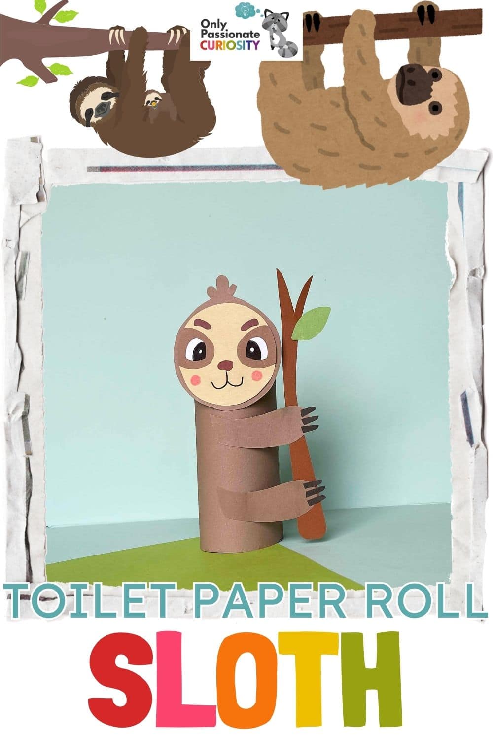 Toilet Paper Roll Sloth Craft