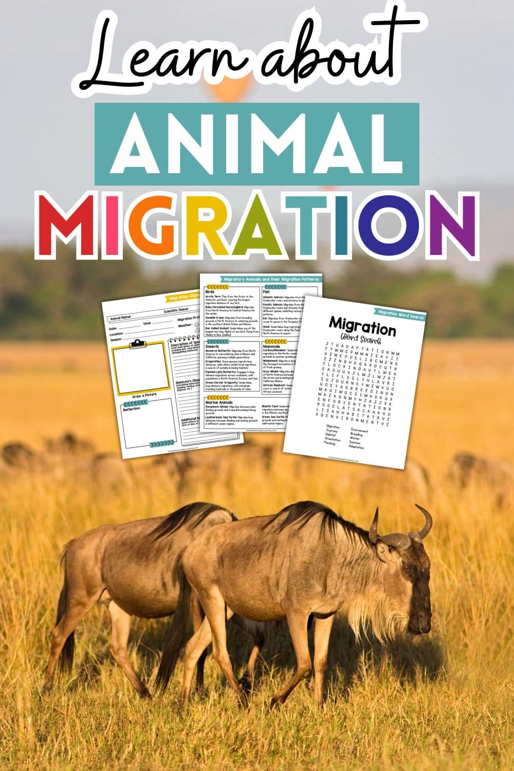 Animal Migration Mini Unit Study