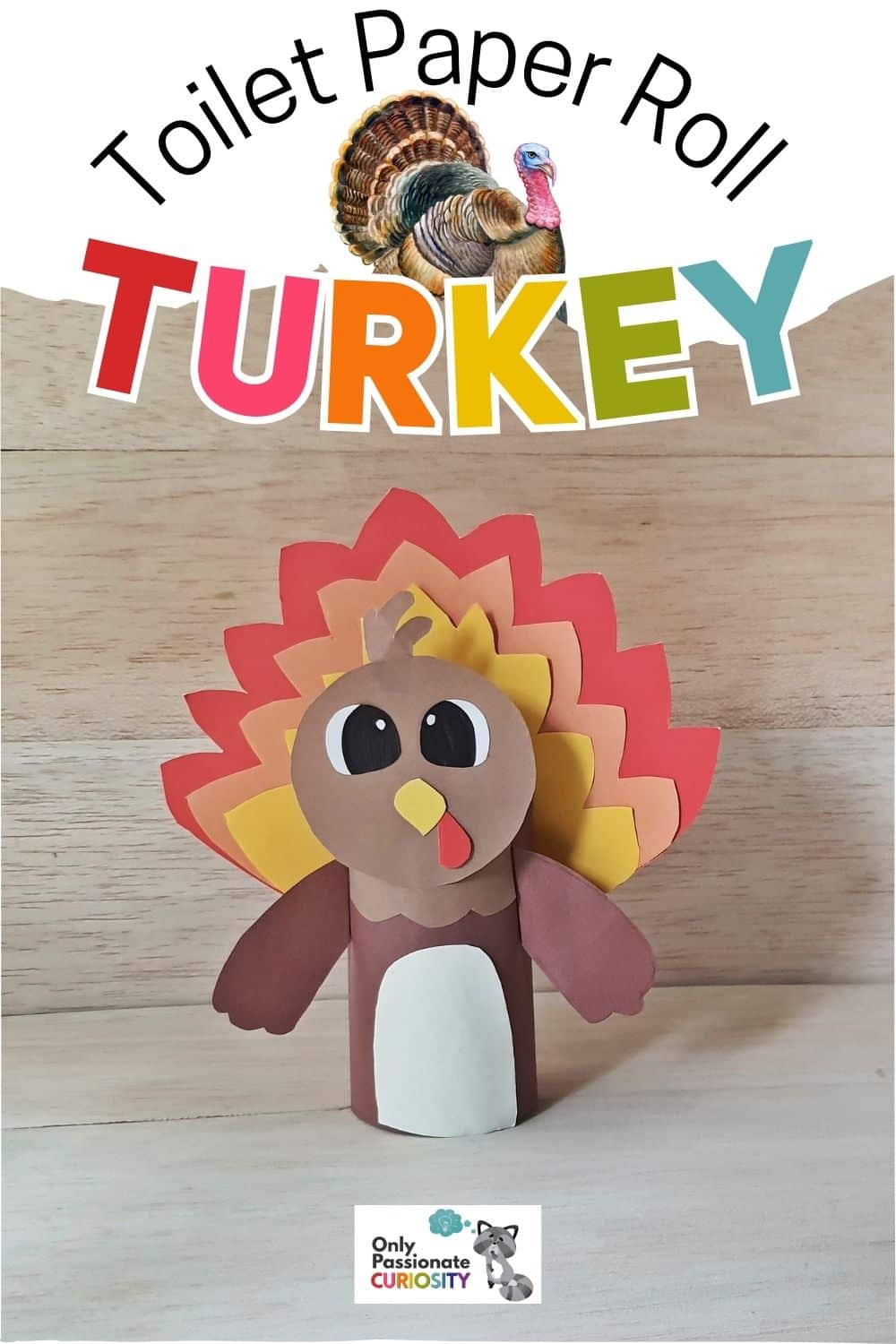 TP Roll Turkey Craft
