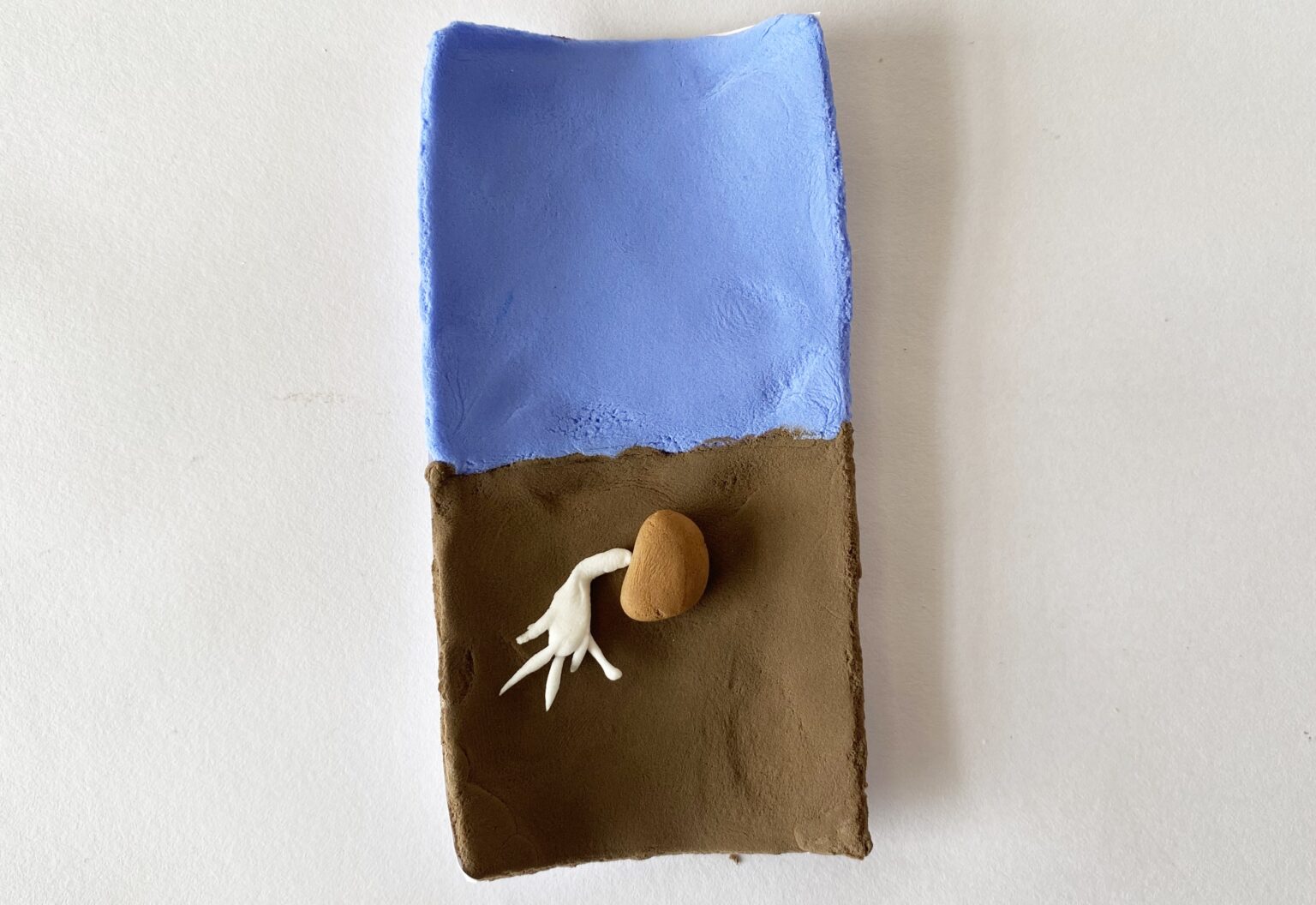 Clay Bean Plant Life Cycle