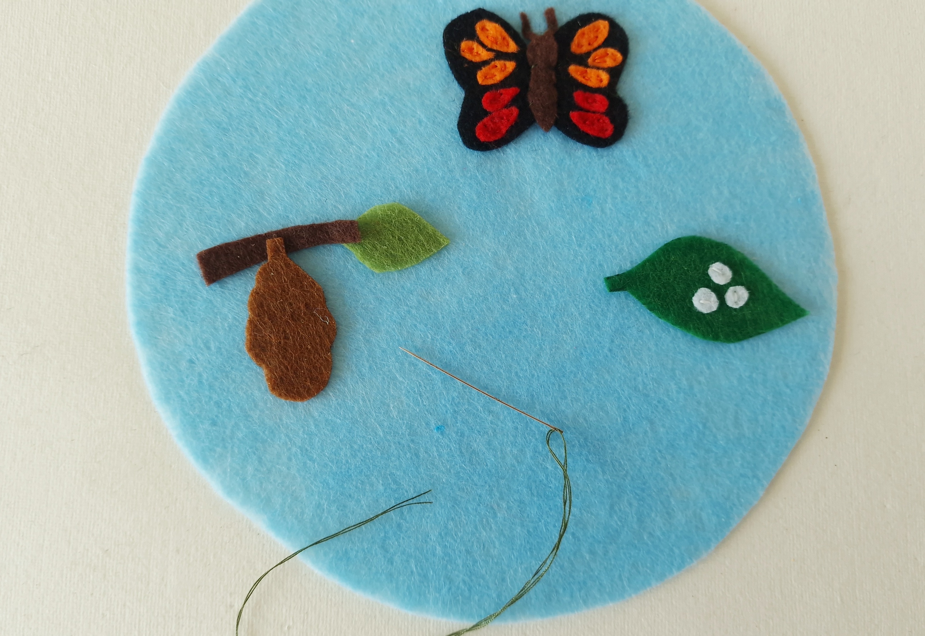 Felt Butterfly Life Cycle Craft