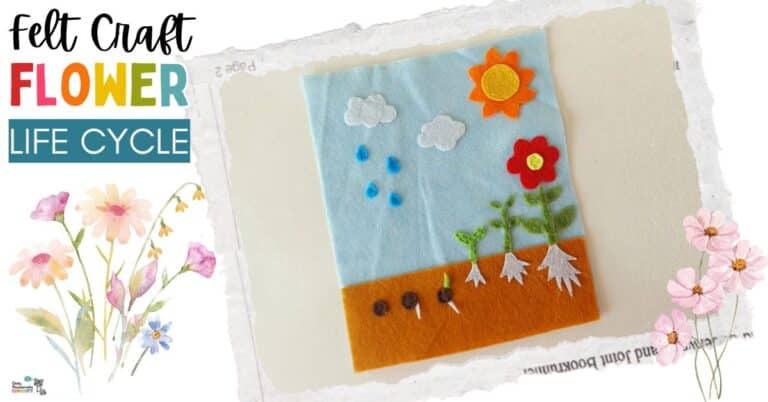 Felt Flower Life Cycle Craft 5176