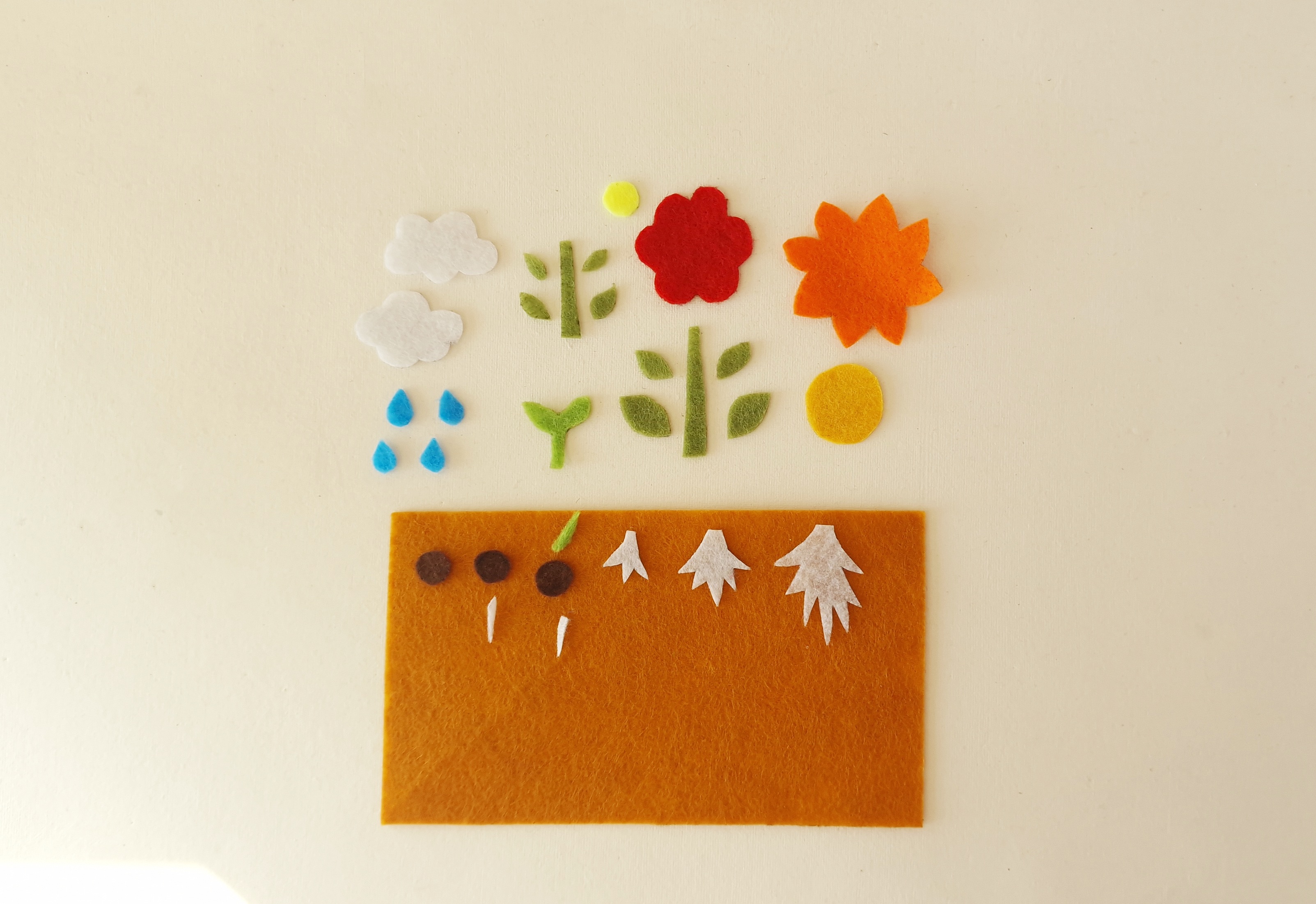 Felt Flower Life Cycle Craft 7828