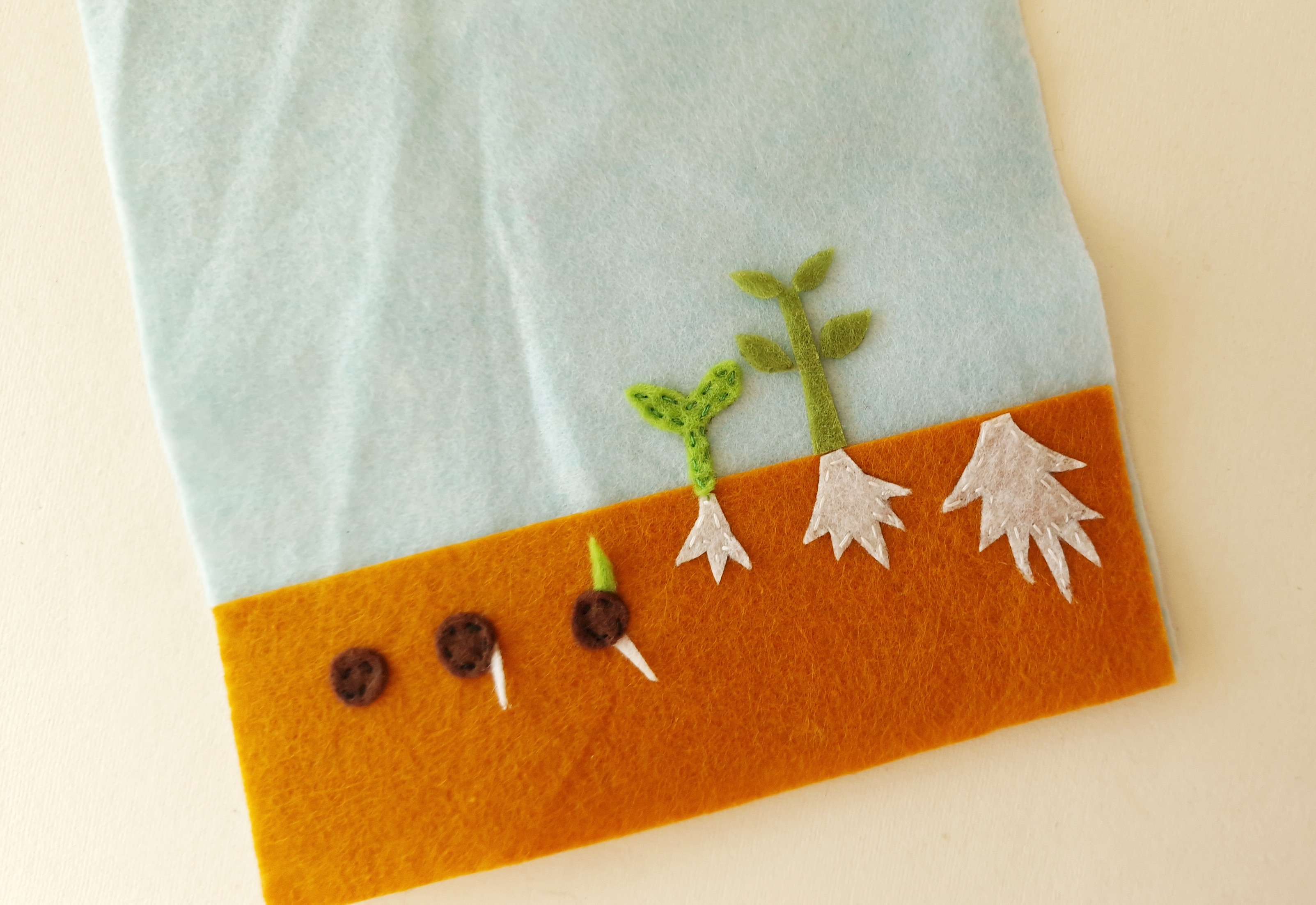 Felt Flower Life Cycle Craft 8927