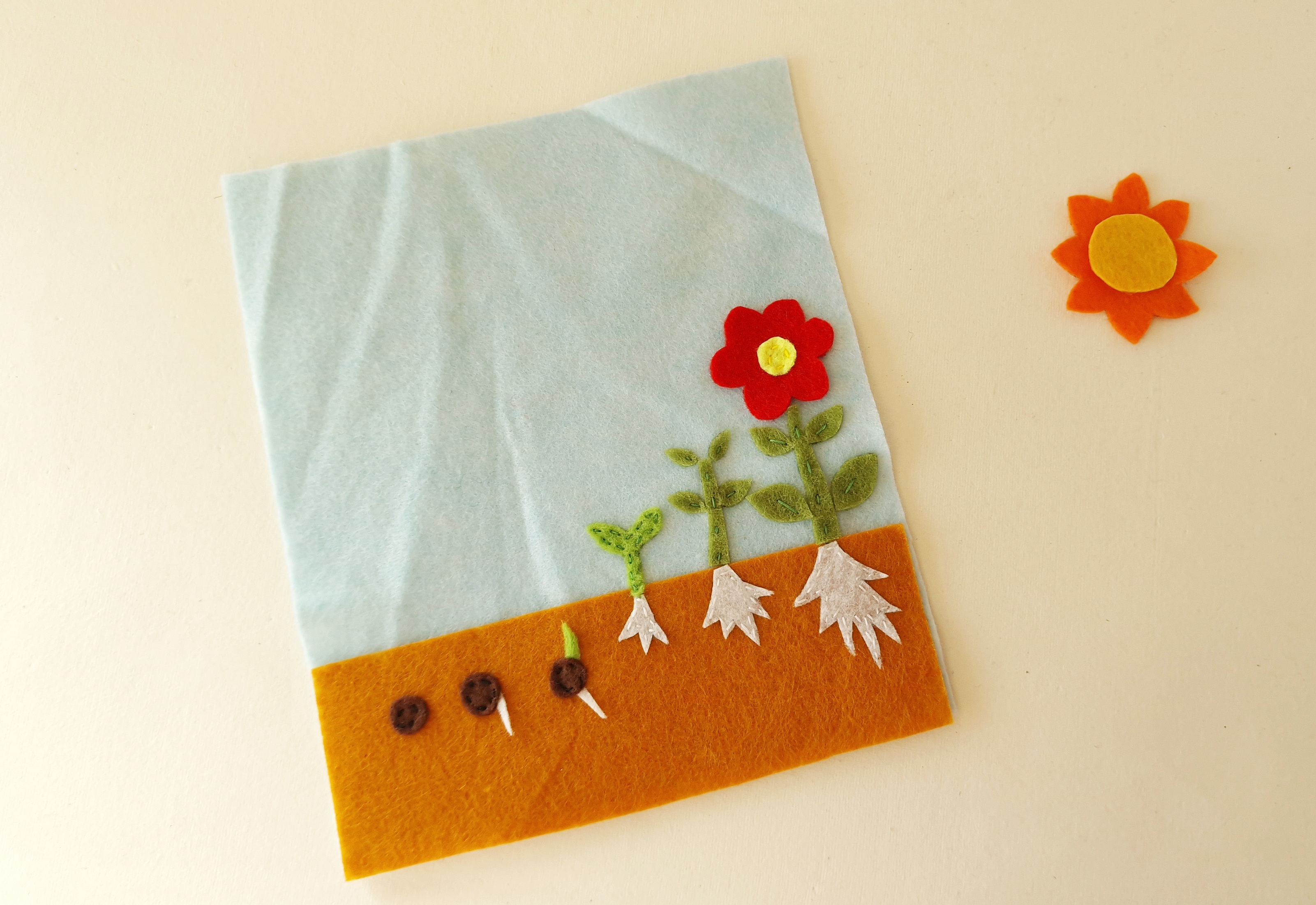 Felt Flower Life Cycle Craft
