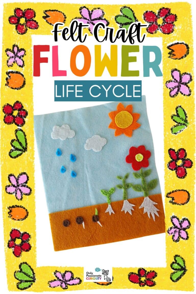 Felt Flower Life Cycle Craft