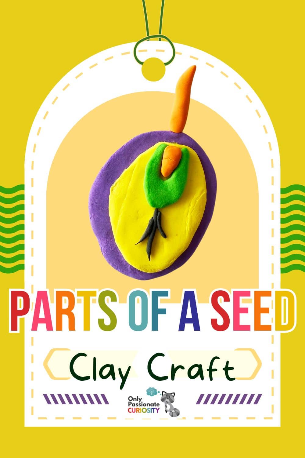 Parts of a Seed Clay Craft