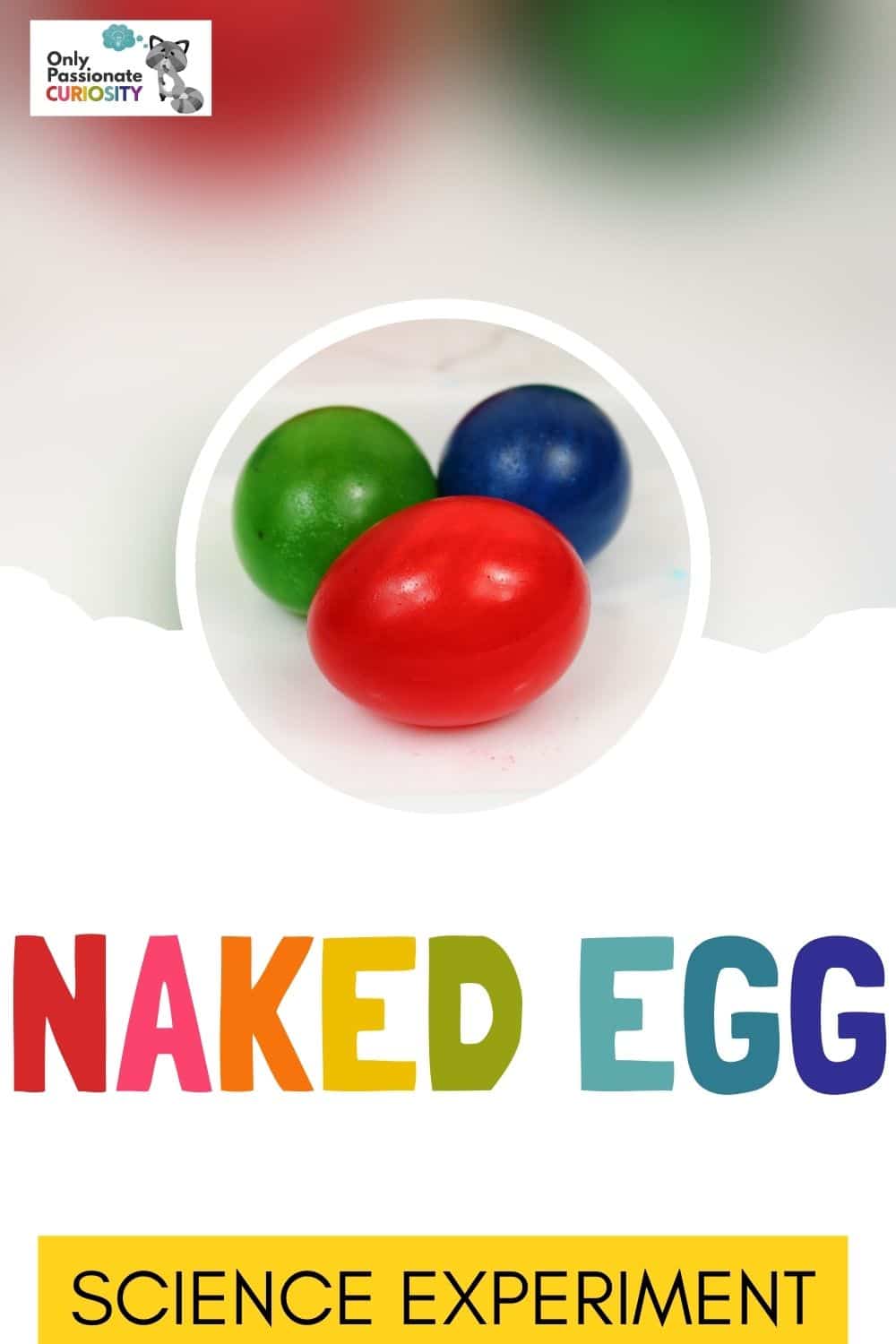 Colorful Naked Egg Experiment