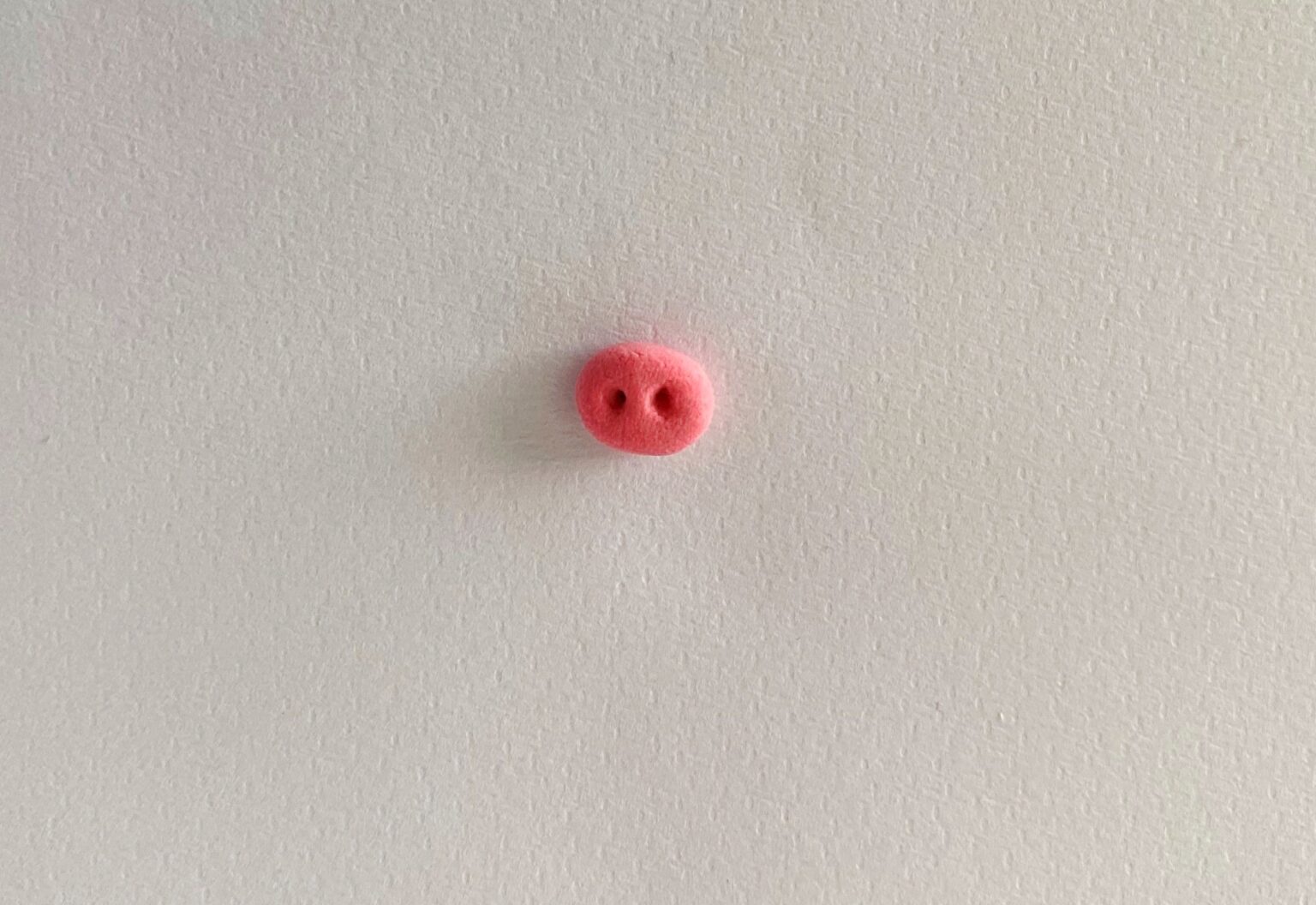 Clay Pig Craft